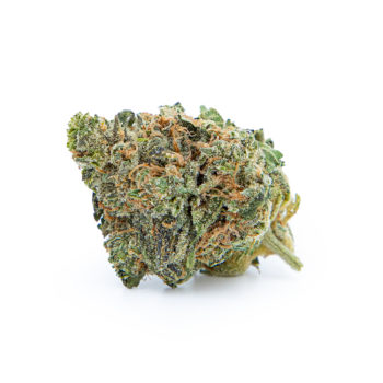 Apple Sundae Strain | Cannabis Dispensary | Theory Wellness