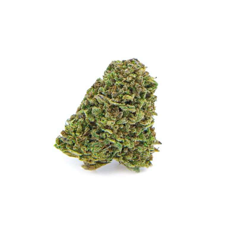 Boston Cream Pie Strain | Cannabis Dispensary | Theory Wellness
