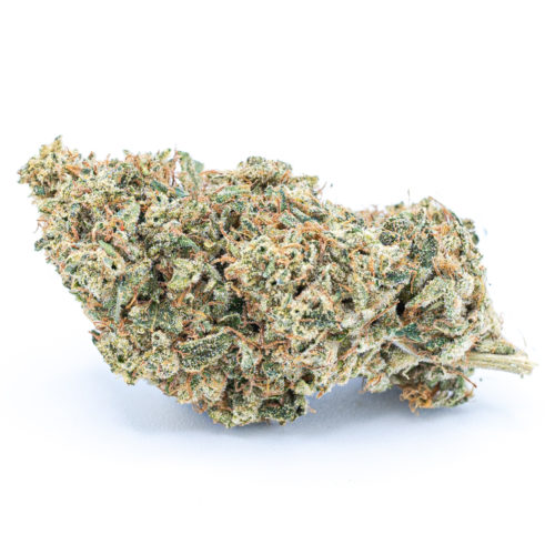 Lazerbeam Strain | Cannabis Dispensary | Theory Wellness Lazerbeam Strain | Cannabis Dispensary | Theory Wellness