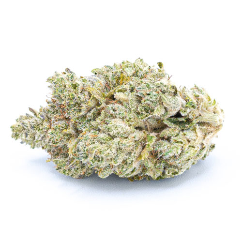 Rebel Cookies Strain | Cannabis Dispensary | Theory Wellness