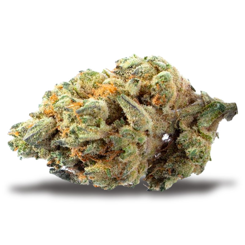 Berry White Strain | Cannabis Dispensary | Theory Wellness Berry White Strain | Cannabis Dispensary | Theory Wellness